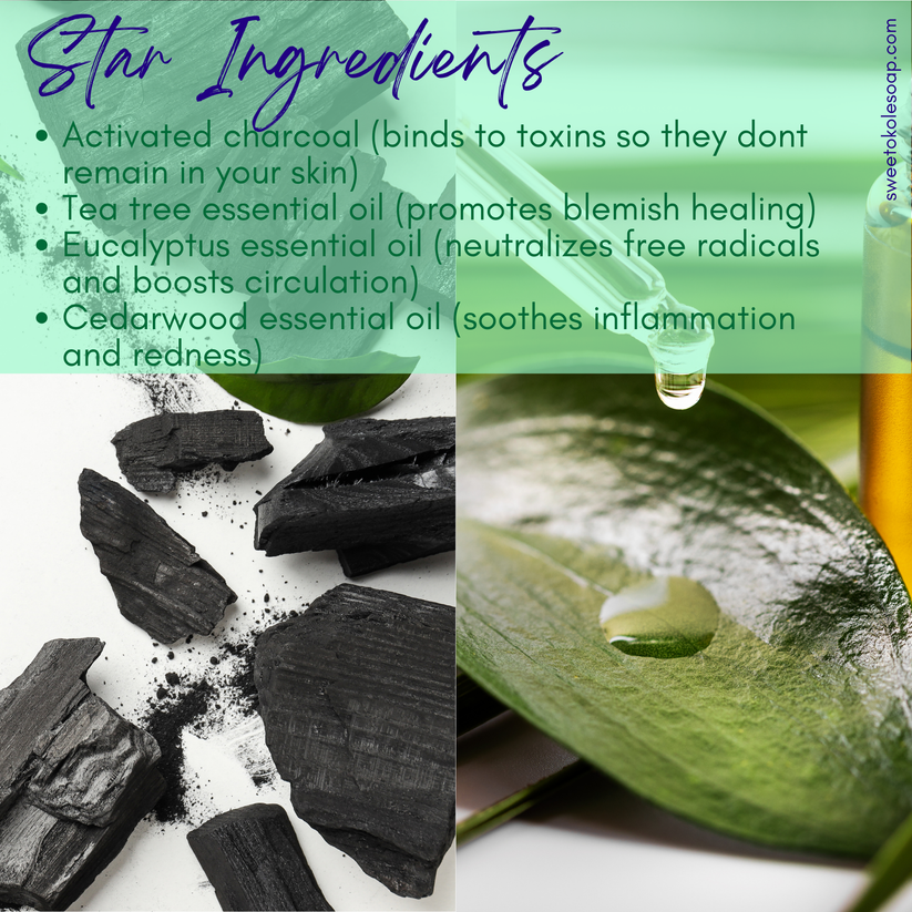 Charcoal Soap Tea Tree Soap, Microbiome Friendly Cleanser Bar – Sweet ...